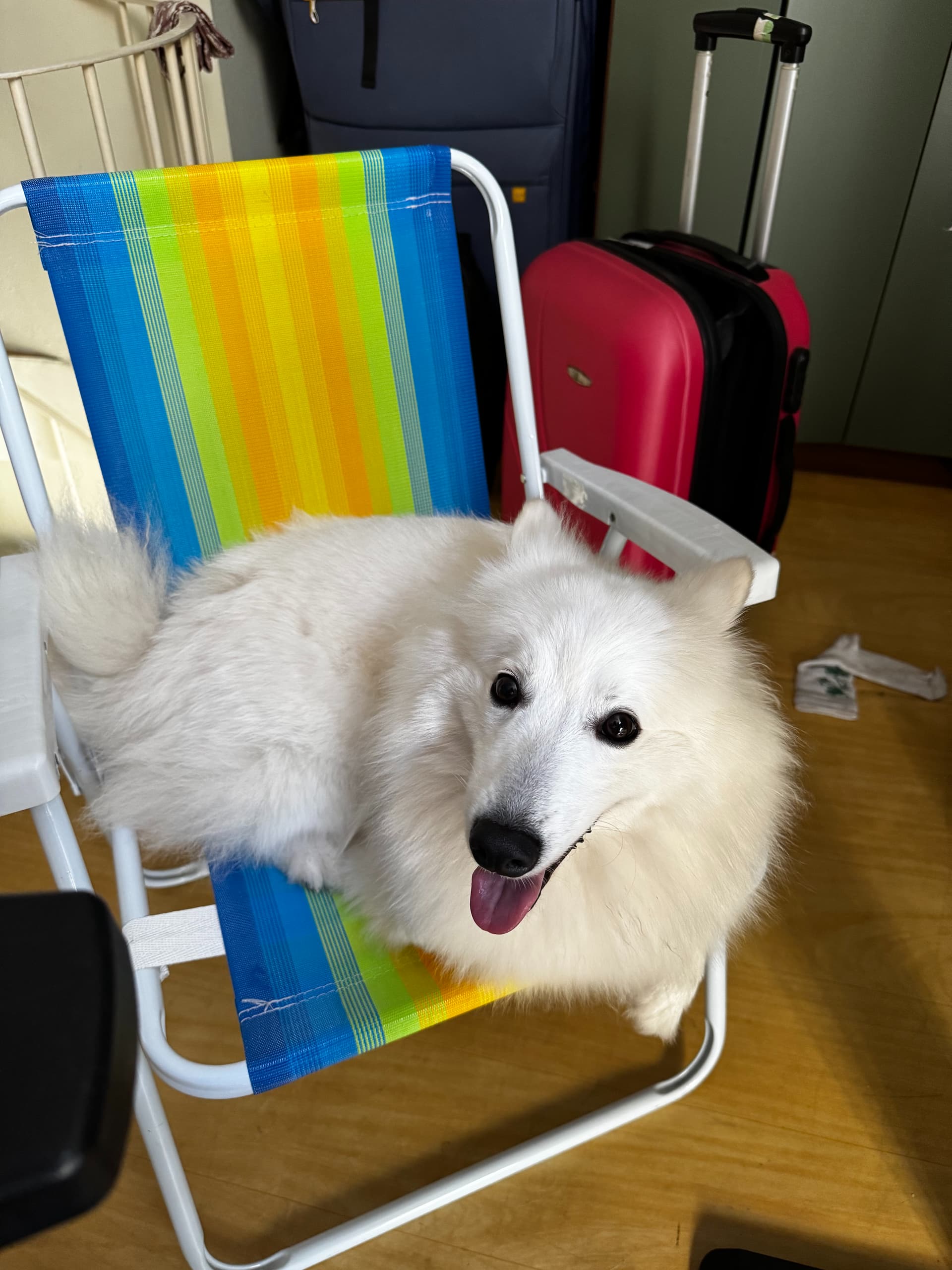 Re-introducing Gabriel Grubba - announce - Meteor Forum